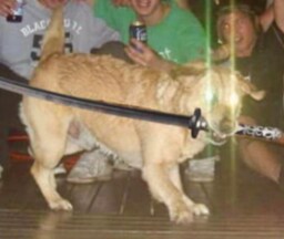 Look at all those floating mana by @Ex0 · Scryfall Magic The Gathering ...