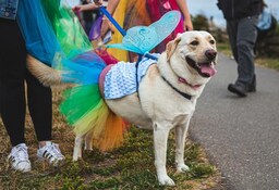 Perrie, the Pulverizer by @kingsman244 · Scryfall Magic The Gathering ...